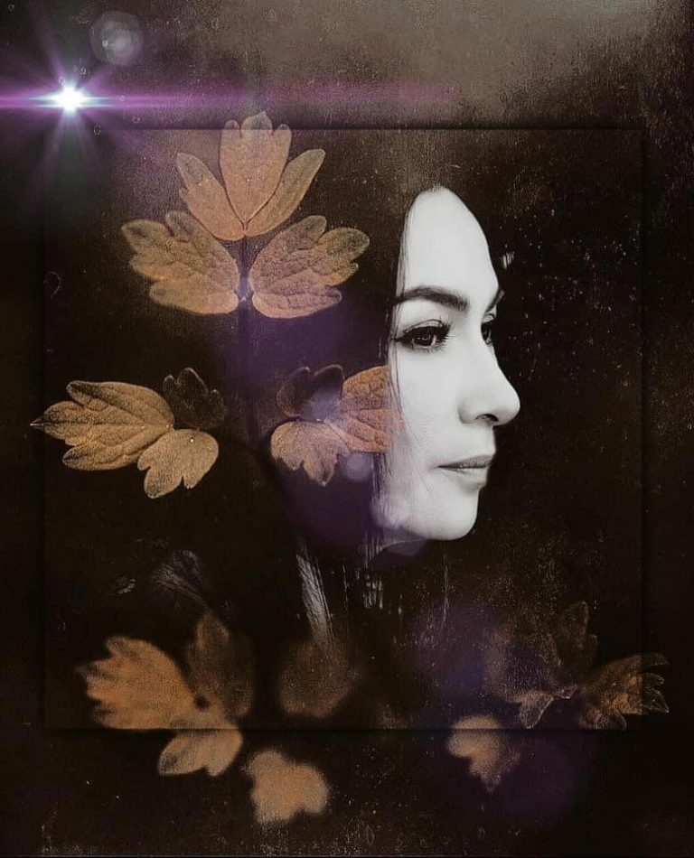 Cuộc đời và sự nghiệp của ca sĩ Phi Nhung (1970-2021)