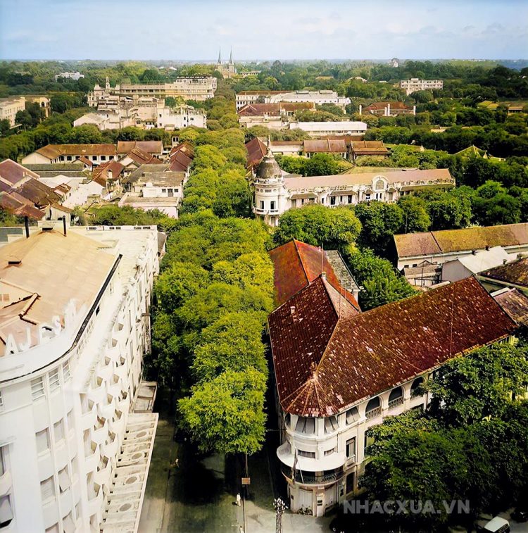 Tuyển chọn những hình ảnh Sài Gòn xưa rợp bóng cây xanh
